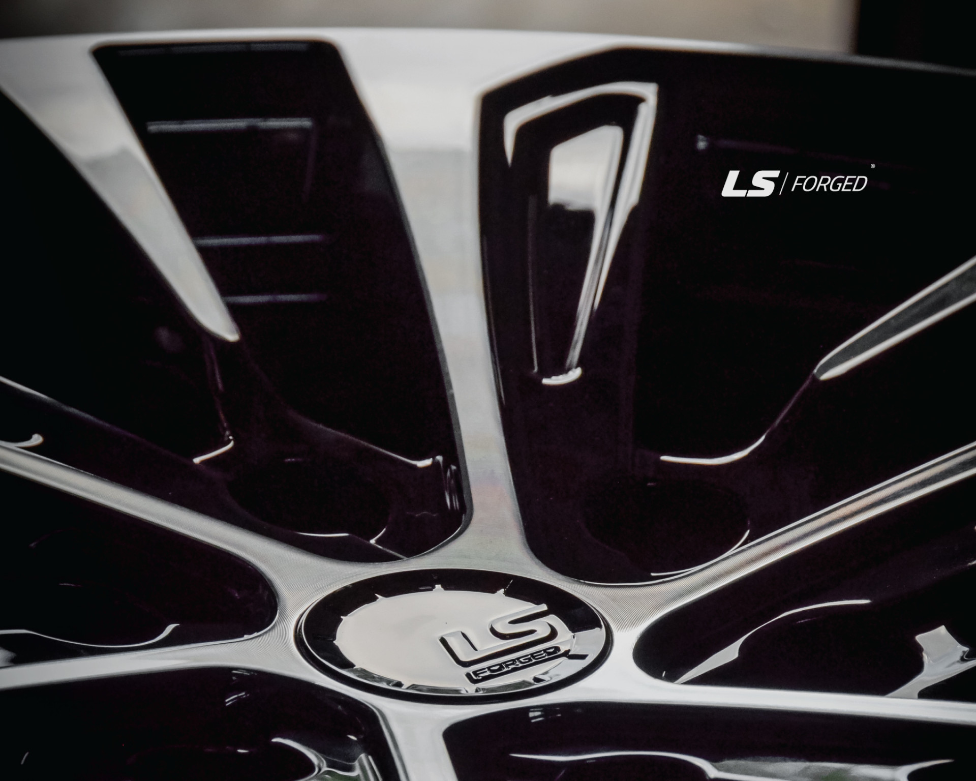 Галерея LS FG19 - фотогалерея